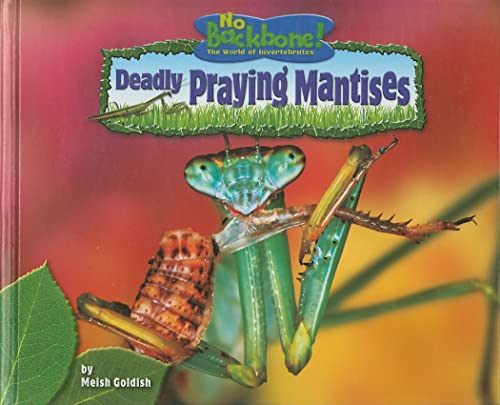 Deadly Praying Mantises (No Backbone! The World of Invertebrates ...