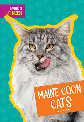 Maine Coon Cats (Favorite Cat Breeds) - Paperback | Book Depot